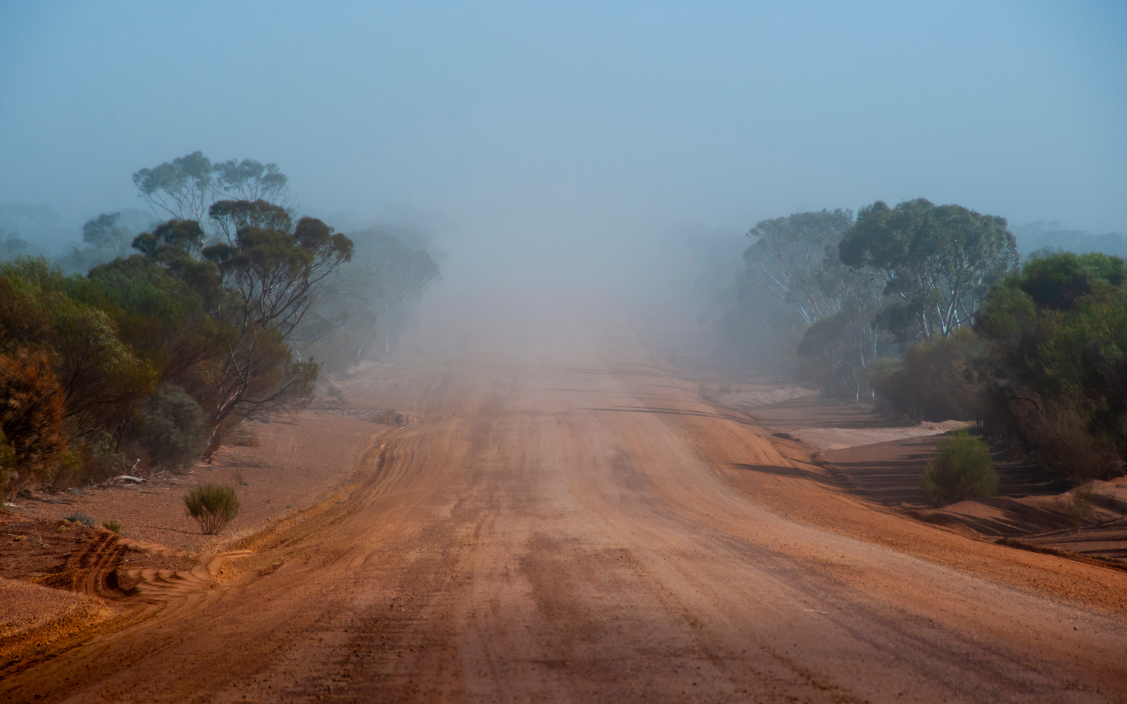 How to Protect your Home During a Dust Storm